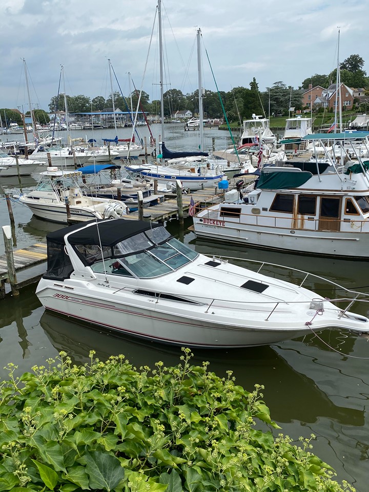 30' 1993 Sea Ray Sundancer 300 SOLD!!!!!! - Essex Marina & Boat Sales